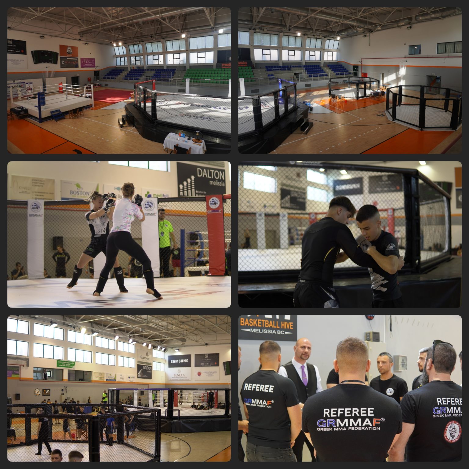 Ελληνική Ομοσπονδία Μικτών Πολεμικών Τεχνών